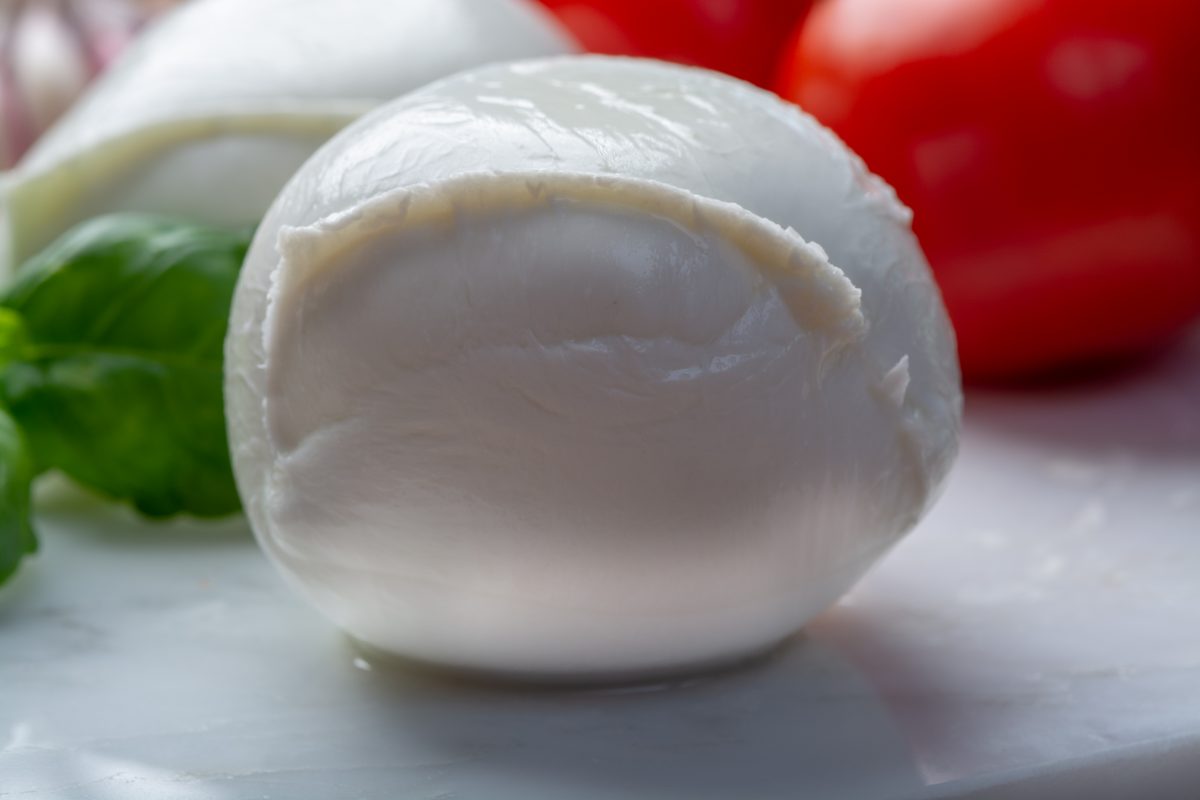 Mozzarella di Bufala Campana DOP - fromage italien - JB France